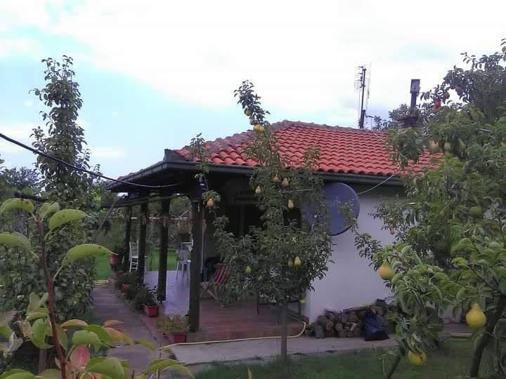 Vikendica, u dobrom stanju, 59 m², Bela Crkva