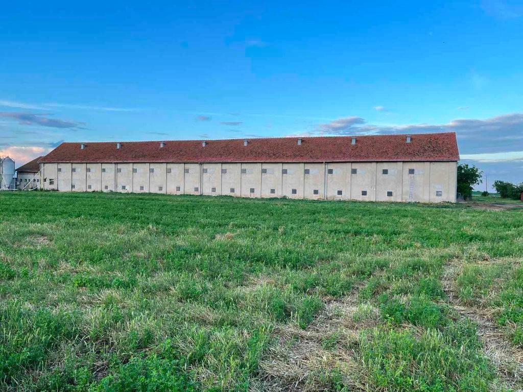 Seosko imanje, u dobrom stanju, 2500 m², Zrenjanin