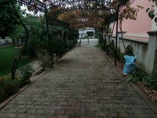 Stan Palićka, Veternik Centar, Novi Sad