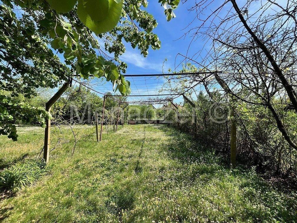 Samostalna porodična vila Savska, Ratari - Skela, Beograd