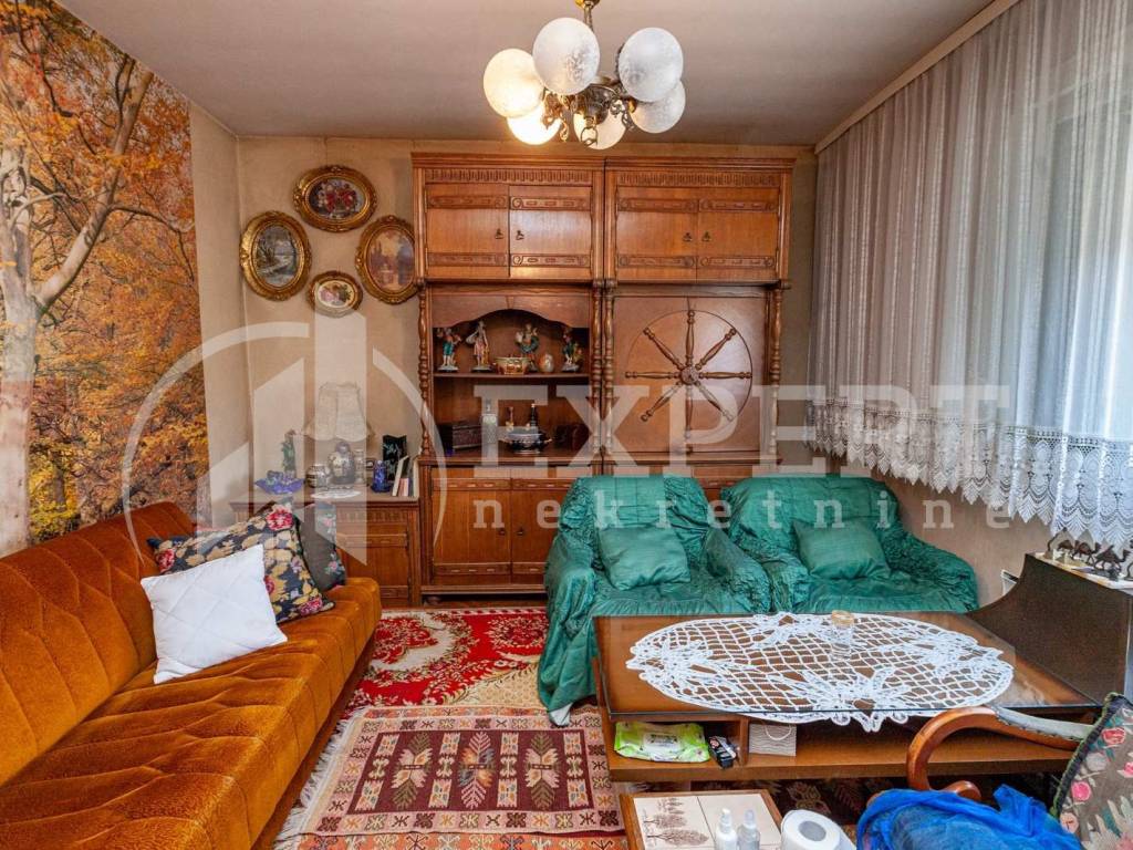 Samostalna porodična vila Kopaonička, Niš