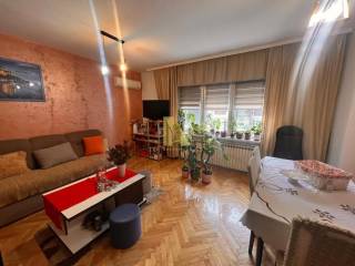Samostalna porodična vila 250 m², u dobrom stanju, Veternik Centar, Novi Sad