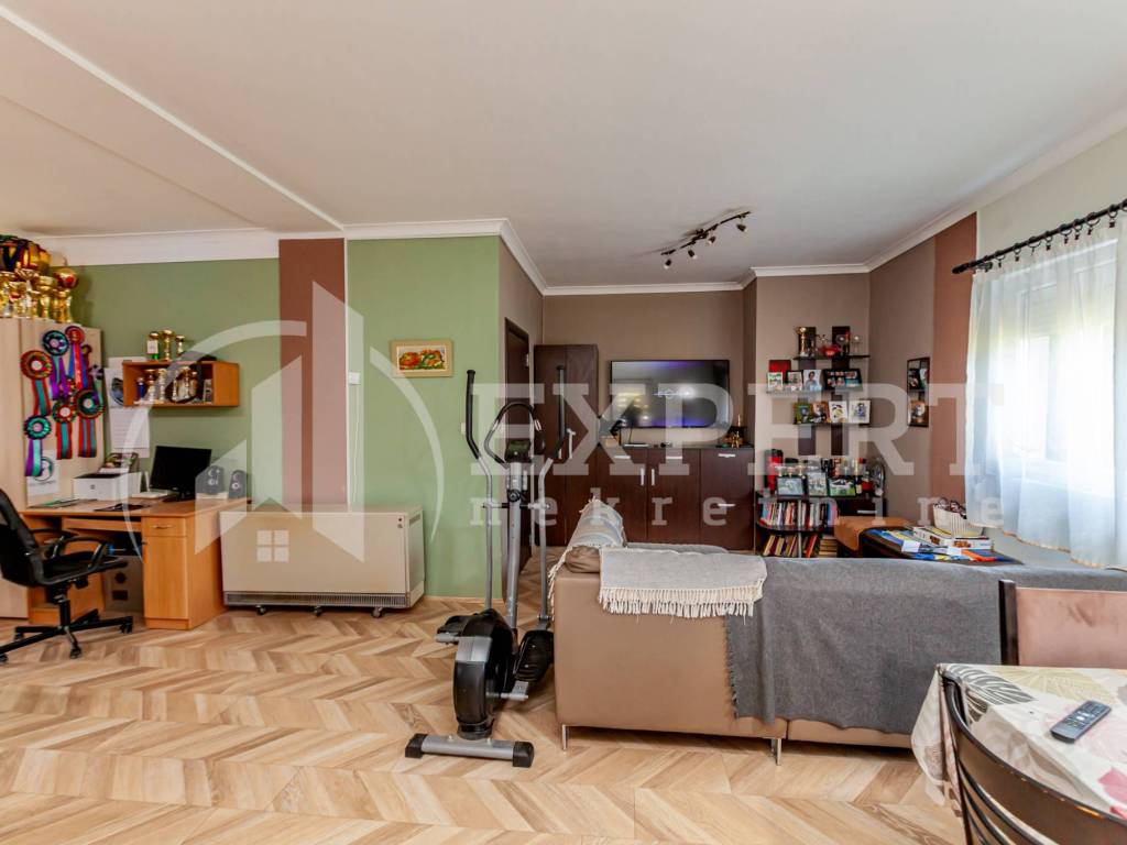 Samostalna porodična vila Metalska, Niš