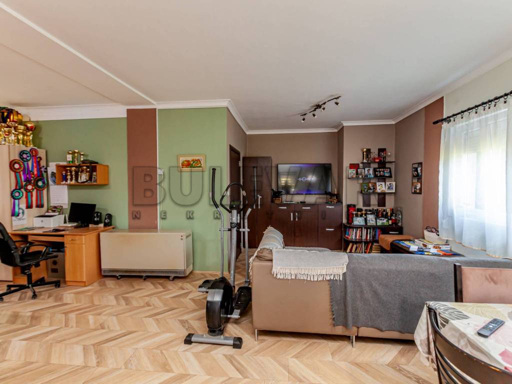 Samostalna porodična vila Metalska, Niš