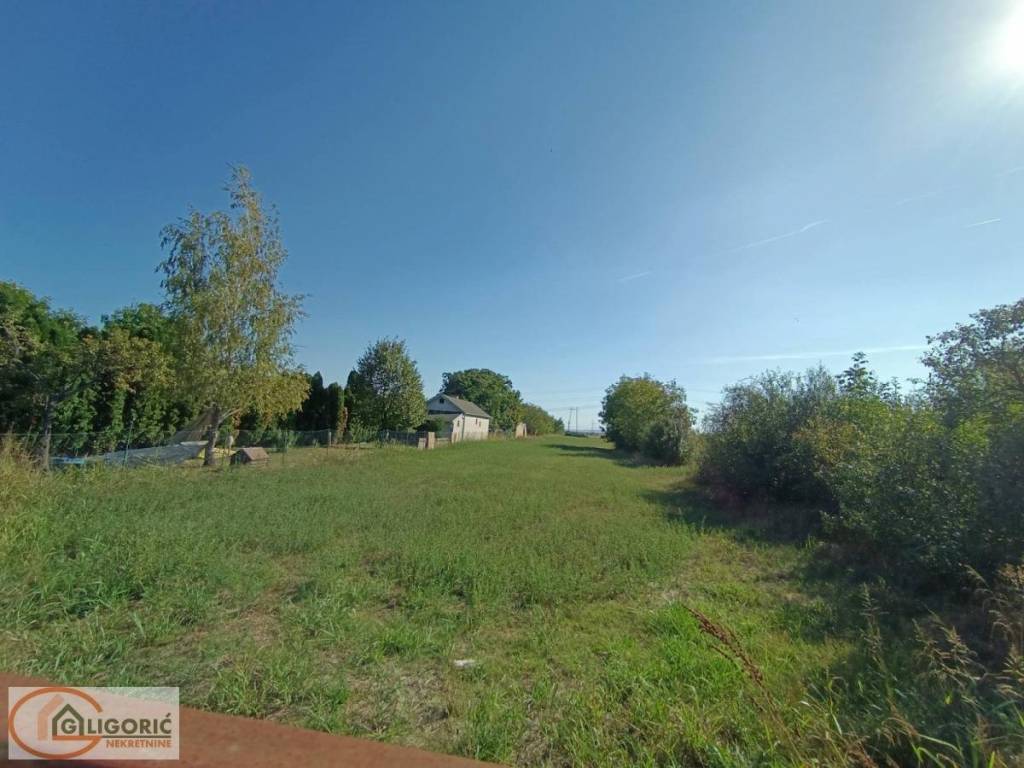 Samostalna porodična vila Bavaništanski put, Centar, Pančevo