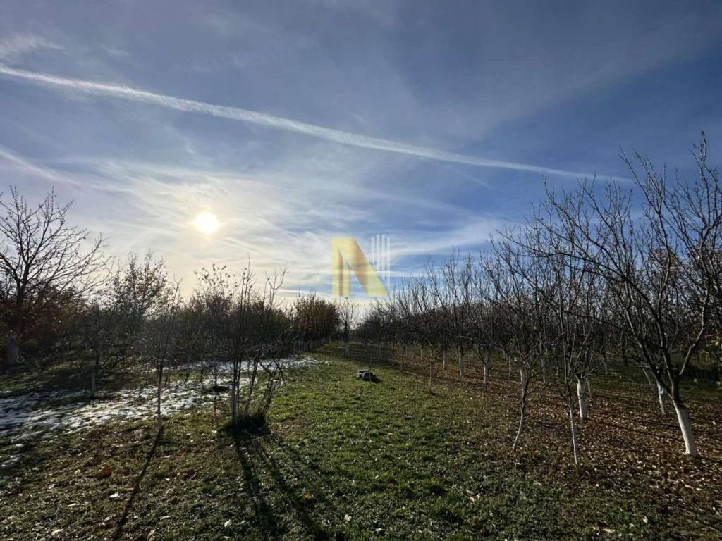 Samostalna porodična vila 114 m², u dobrom stanju, Centar - Novi Bulevar, Novi Sad