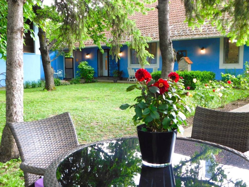Samostalna porodična vila 1068 m², Bavanište, Kovin