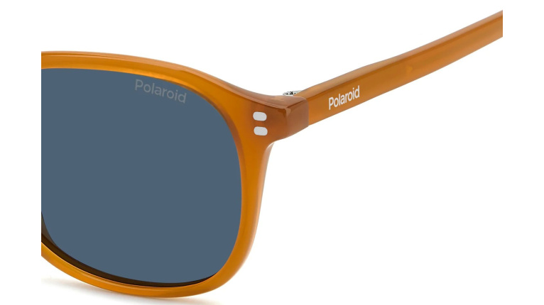 Polaroid PLD 4203/S/X