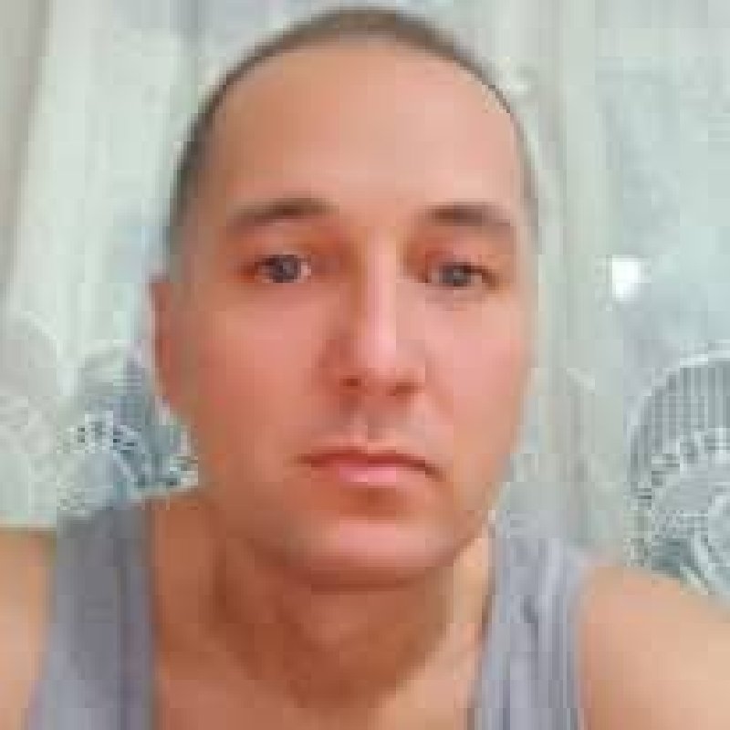 Nov u Beogradu