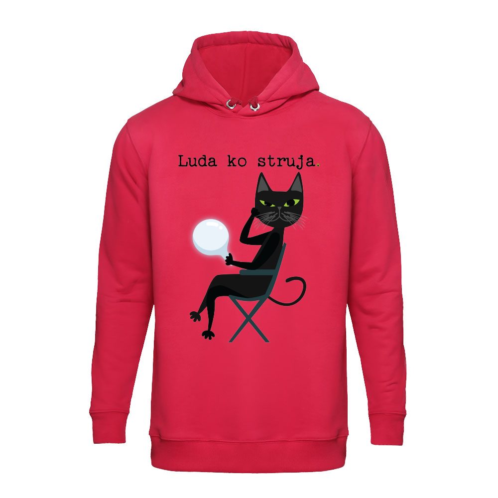 Luda ko struja