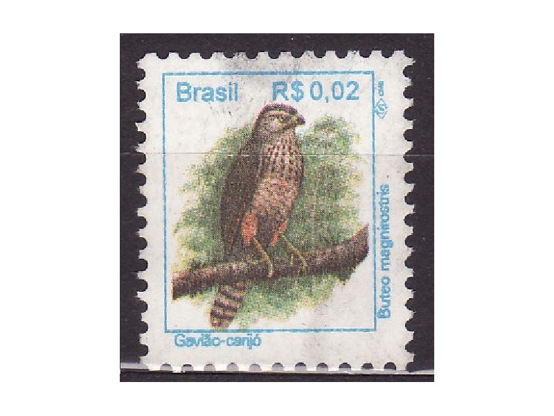 Brazil - ptica
