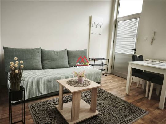 Garsonjera – centar Novi Sad - pet friendly