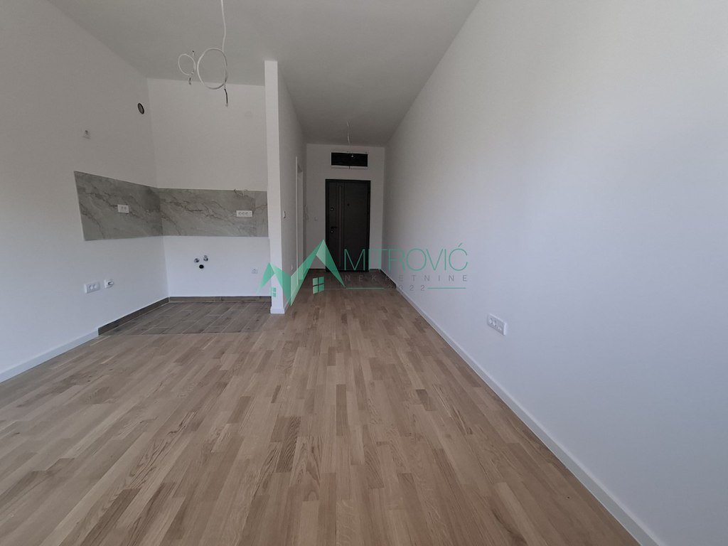 ID 1004283, NOVI SAD, SALAJKA