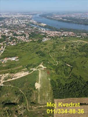 Palilula, Višnjička banja - Komarevo