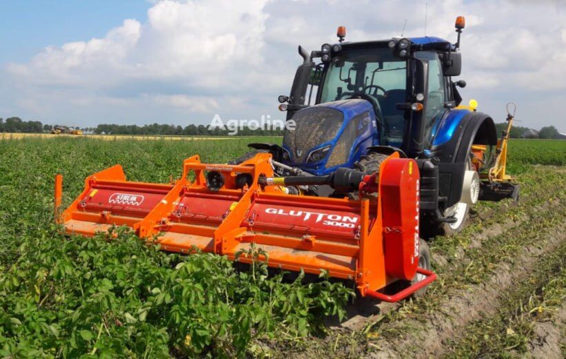 Novi Struik Glutton 300 tarup za ciminu