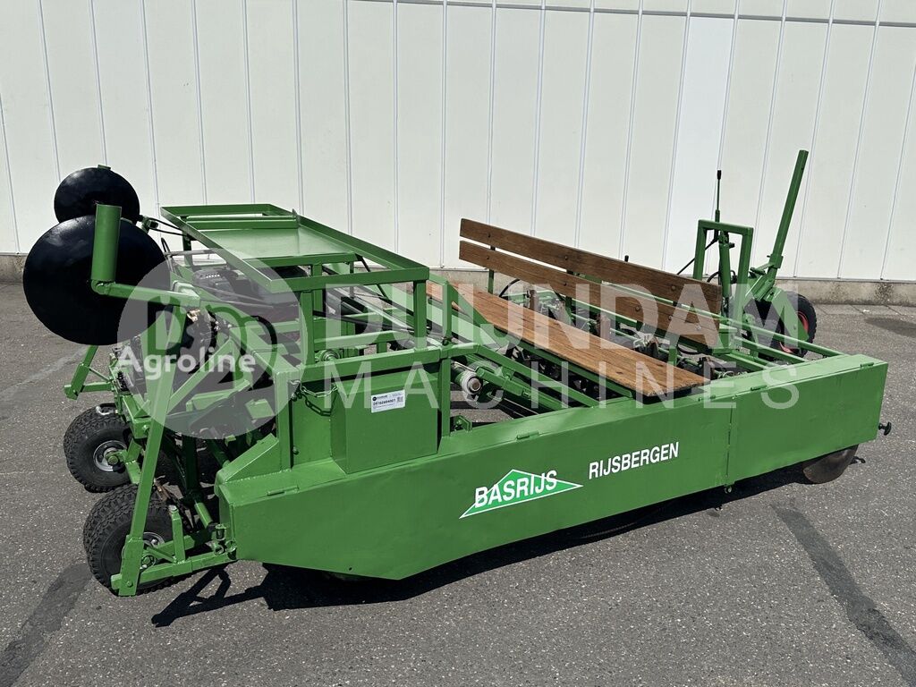 Basrijs 165-5ZH sadilica rasada