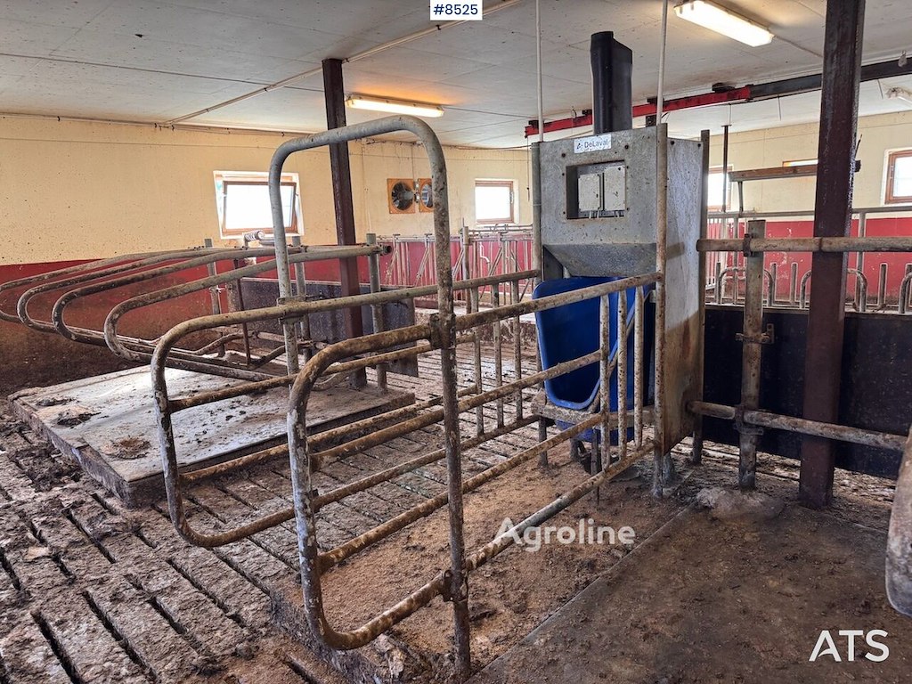 DeLaval Kraftforautomat hranilica za stoku
