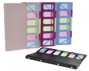 PVC Organiser sa 6 pregrada i gumicom sortirano Viquel