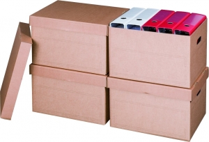 Kutija za arhiviranje sa poklopcem 44x34,5x28 cm Smartbox Pro