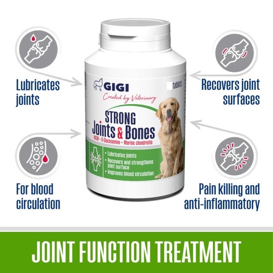 GIGI Strong Joints & Bones za jake zglobove i kosti, 30 tableta