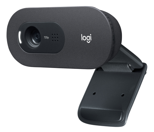 LOGITECH C505E Long Range HD web kamera OEM