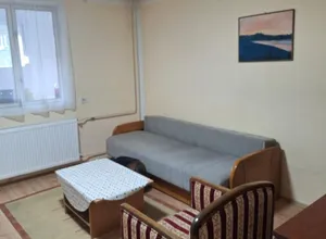 Izdavanje Stan - Novi Sad, Sremska Kamenica Centar