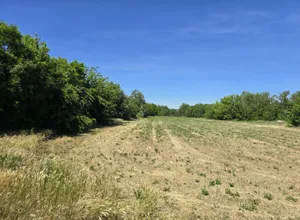 Prodaja Građevinsko zemljište - Subotica
