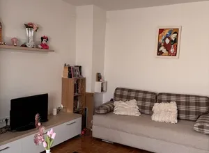 Izdavanje Stan - Novi Sad, Detelinara: Stara Detelinara - Nova Detelinara
