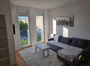 Izdavanje Stan - Novi Sad, Detelinara: Stara Detelinara - Nova Detelinara