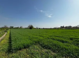Prodaja Građevinsko zemljište - Inđija, Beška