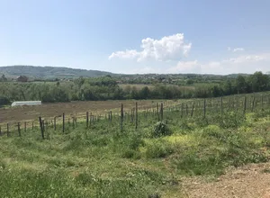Prodaja Plac - Kragujevac