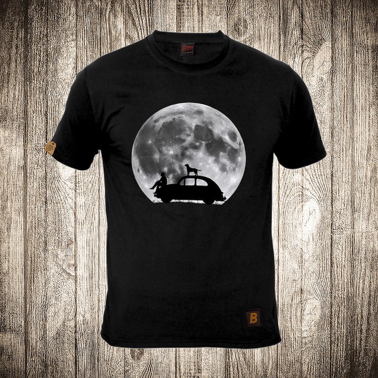 Covek i pas na mesecini