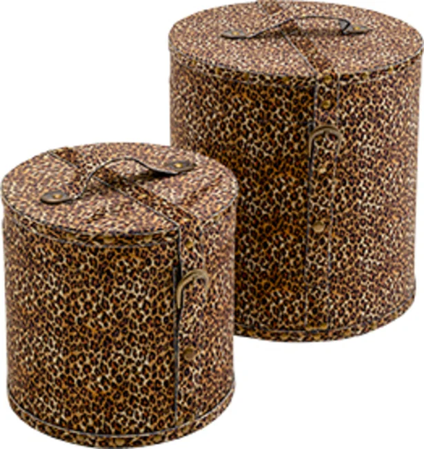 Kutija Wild Animal Leo (2/Set)