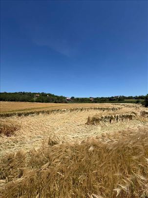 Novi Slankamen građevinsko zemljište 1482m2