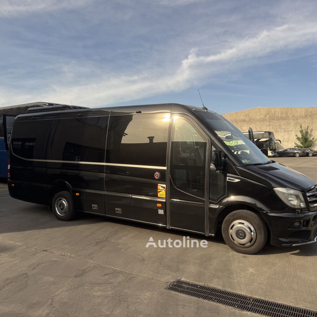 Mercedes-Benz Sprinter 519 putnički minibus
