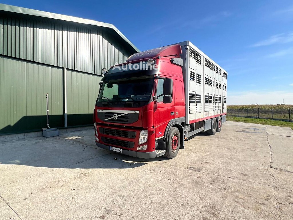 Volvo FM 410 kamion za prevoz stoke