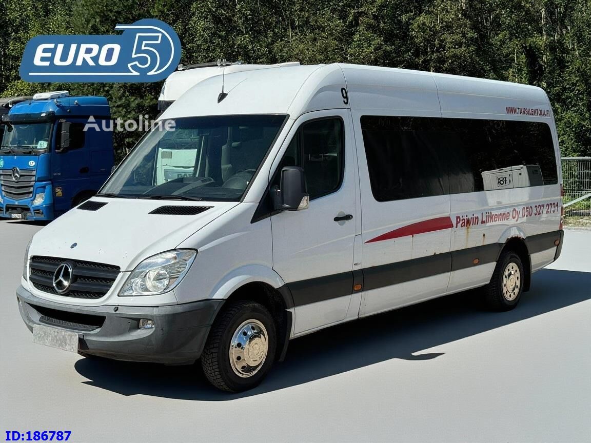 Mercedes-Benz Sprinter 516 - 17-seater - Euro5 turistički autobus