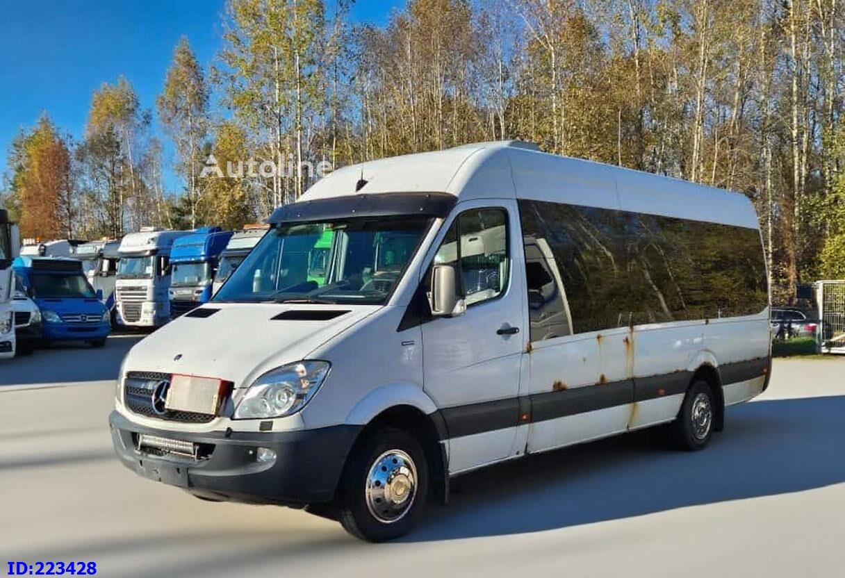 Mercedes-Benz Sprinter 516 Euro5 21-Place ID223428 turistički autobus