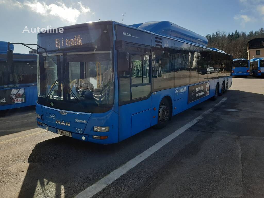 MAN A26 CNG Lions City ( 3709-3729) 21 buses gradski autobus