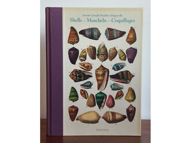 SHELLS - MUSCHELN - COQUILLAGES - TASCHEN