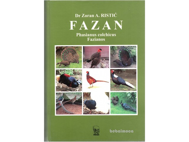 FAZAN: PHASIANUS COLCHICUS FAZIANOS - Zoran Ristić