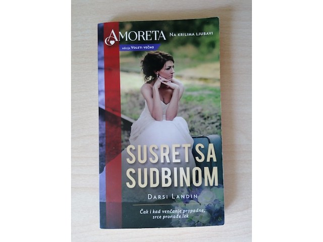 Susret sa sudbinom - Darsi Landin