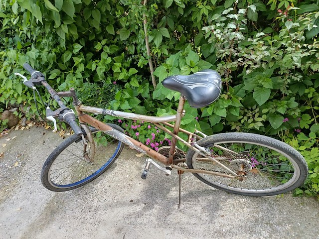 Bicikl za odrasle Capriolo 26`