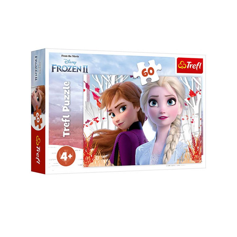 PUZZLE 60 DELOVA A THE ENCHANTED WO.T17333