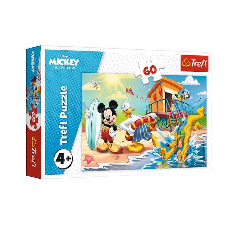 PUZZLE 60 DELOVA A INTERESTING DAY T17359