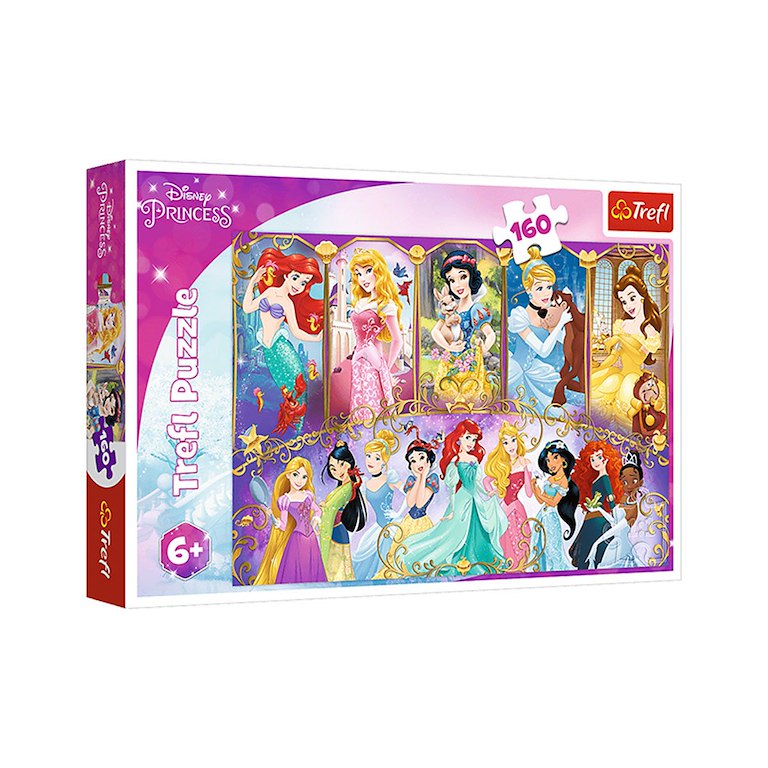 PUZZLE 160 DELOVA PRINCESSES PORT. T15407