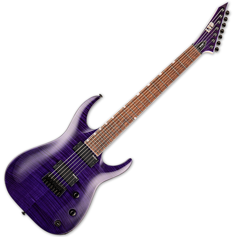 ESP LTD SH-7 EVERTUNE STP BRIAN WELCH - Incl. Case
