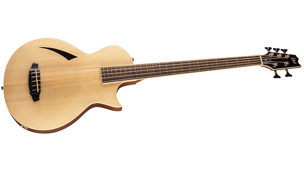 ESP LTD TL-5 NAT B