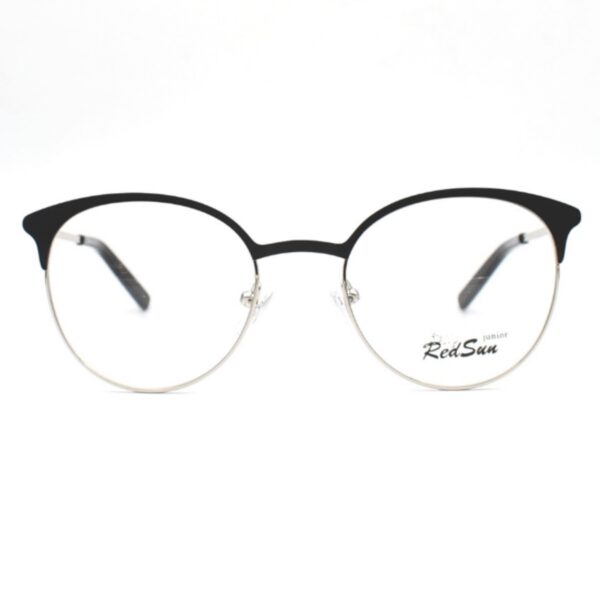 Model 1069 D