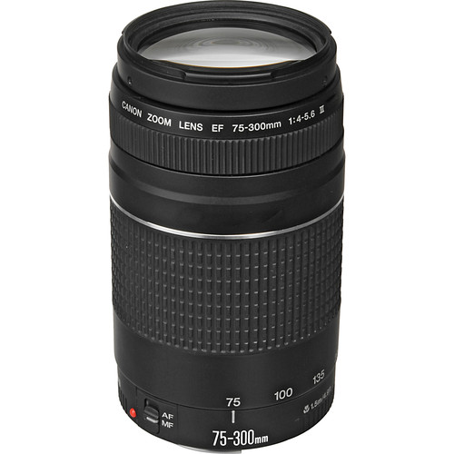 Canon EF 75-300mm f/4-5.6 III
Zoom raspon
Optika i kvalitet slike
Autofokus
Bokeh i blenda
Dizajn i prenosivost
Za šta je najbolji
Ograničenja (realno da znaš)
Zaključak